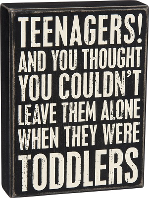 Box Sign - Teenagers! - The Terry Janis Collection